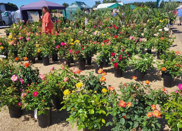 PLANTS, PLANTS, PLANTS! - Blenheim Flower Show